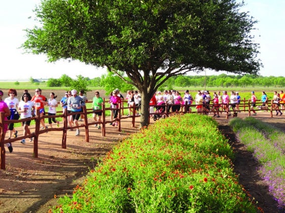 Rave Races: Flower Power - Women's Running