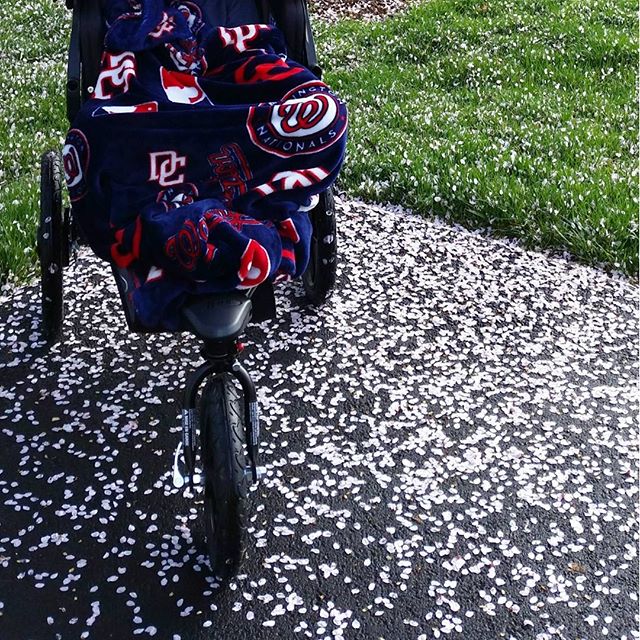 What To Know About Pacing While Running With a Stroller