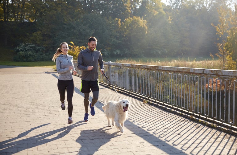 8 Facts (And Adorable Photos) About Running With Your Dog