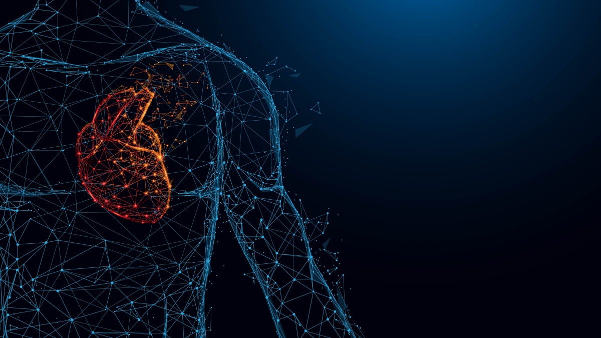 Understanding the Athlete’s Heart - Women's Running