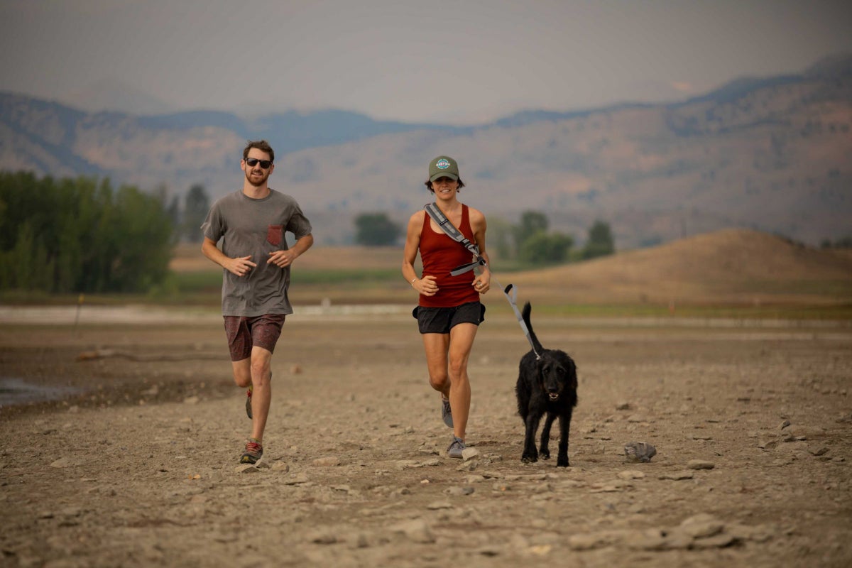 LifeHandle Dog Leash For Running Hands-Free: Review