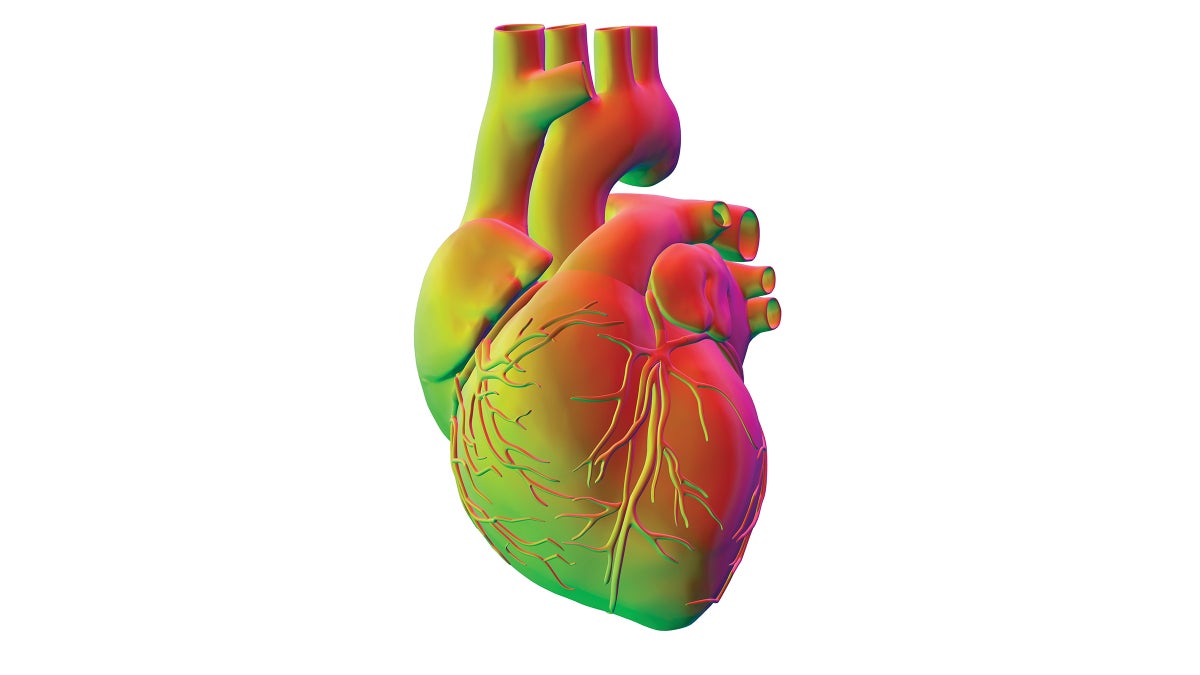 Everything You Need to Know About Heart Rate - Women's Running